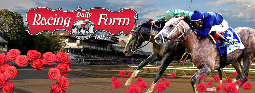 Daily Racing Form Web/Digital – Joseph Conti Design